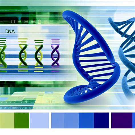 The Importance Of Dna Sequencing