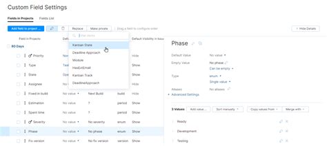 Replace Custom Fields Youtrack Server Documentation