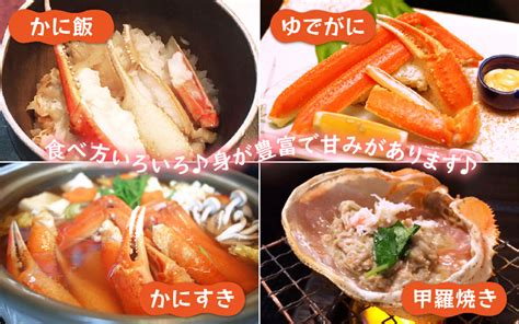 【訳あり】≪浜茹で≫指折れ 越前がに（小） × 6杯 食べ方しおり かにスプーン付き【雄 ズワイガニ ずわいがに 越前ガニ 姿 ボイル 冷蔵