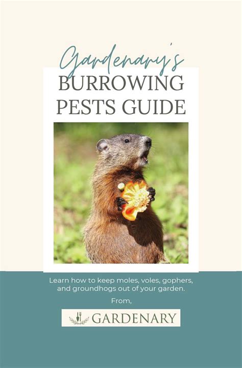 Burrowing Pests Guide Booklet Gardenary Shop