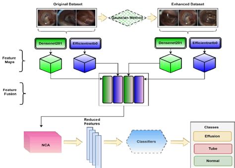 Block Representation Of The Proposed Model Download Scientific Diagram