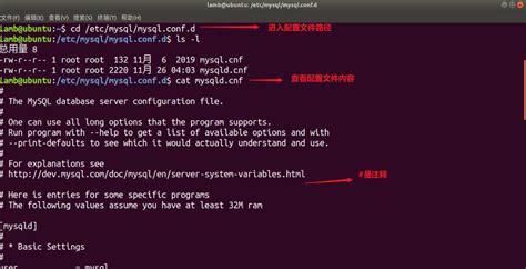 Mysql数据库的环境搭建【详细】mysql 集成环境 Csdn博客