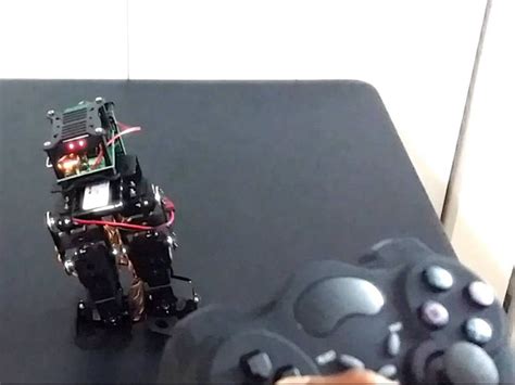 6dof Biped Robot