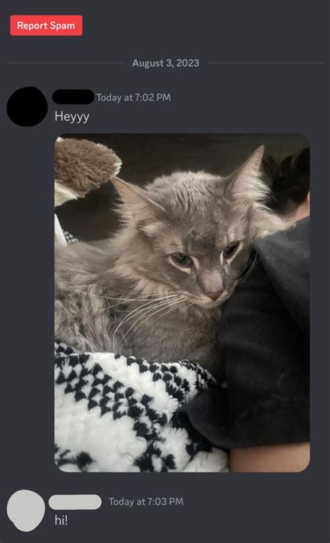 My Korean Friend Got Her First Unsolicited Dick Pic On Discord R