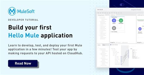 Build Your First Hello Mule Application Sandra Schrick
