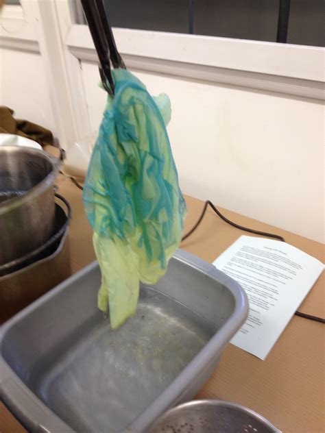 Woad Dyeing Workshop Beyond Blue