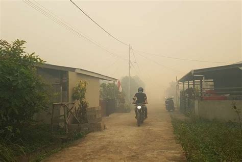 Kabut Asap Selimuti Kabupaten Pelalawan Republika Online