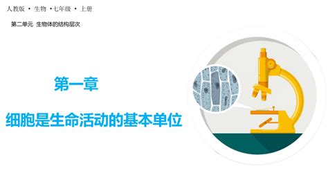 第二单元第一章细胞是生命活动的基本单位（复习课件） 七年级生物上册同步备课系列（人教版）共21张ppt 21世纪教育网