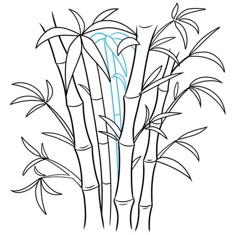 Bamboo Drawing