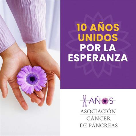 La Asociación Cáncer De Páncreas Cumple 10 Años Grupo Brotons
