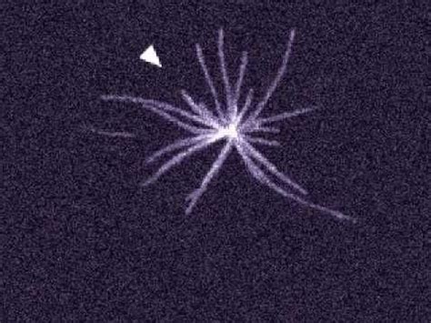 Microtubule Dynamic Instability In Vivo Dynamic Chemistry
