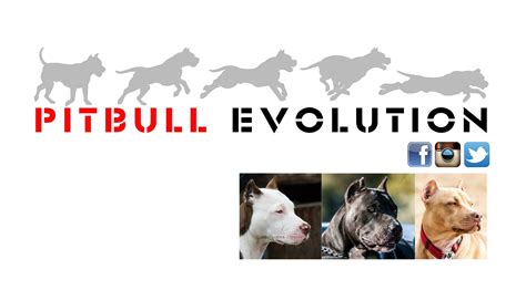 Pitbull Freaks The Morning Read Session Its All About Conditioning