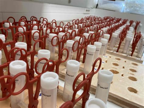 A Matter Of Scale Within Host And Between Host Processes Driving