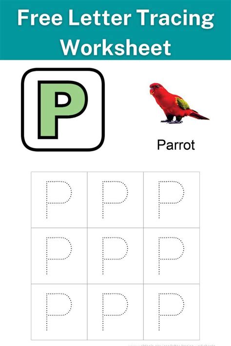 Alphabet Tracing Letter P Worksheets