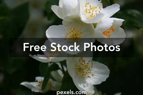 Lauren Jasmine Onlyfans Leaked Cloud Dev Hub