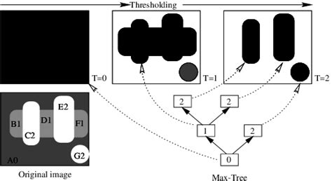 Max Tree Representation Of Images Download Scientific Diagram