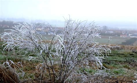 Lérouville Après La Pluie Le Givre