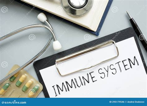 Immune System Word As Medical Concept Is Shown Using The Text Stock Photo Image Of Strong
