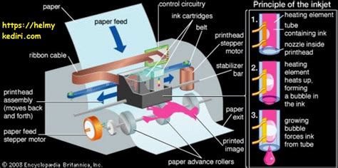 Komponen Komponen Printer Dan Penjelasan Lengkap