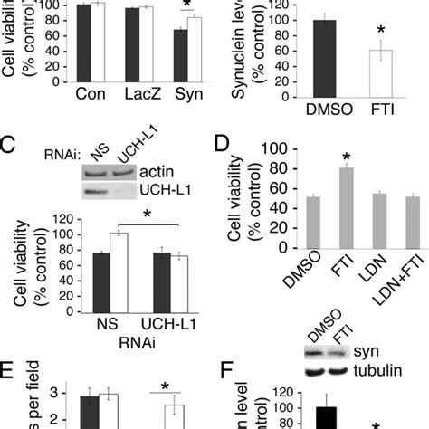 The Ubiquitin Proteasome System Ubiquitin Ub Monomers Are Activated