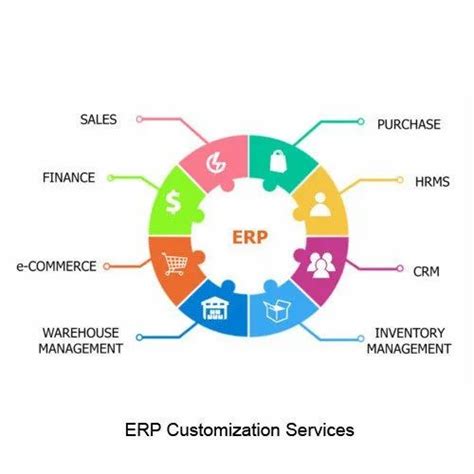 Erp Software Customization Service At ₹ 75000month In Chennai Id