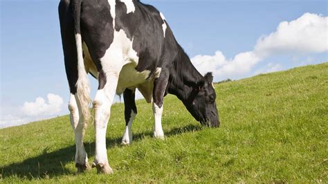 AgriVital - Advanced growth Solutions - AgriVital