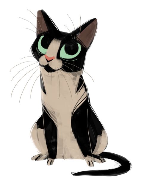 Daily Cat Drawings — 242 Tuxedo Sketch