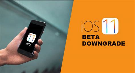 Downgrade IOS Beta To IOS On IPhone IPad Without Data Losing Downgrade IOS Beta To IOS On IPhone IPad Without Data Losing
