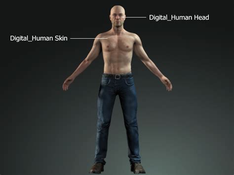 Shaders In Digital Human Shader