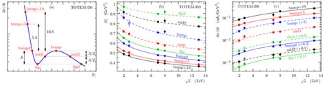 A Schematic Definition Of The Characteristic Points In The Totem
