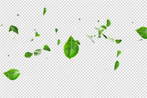 Premium Psd Fresh Green Leaves Overlay Greenery