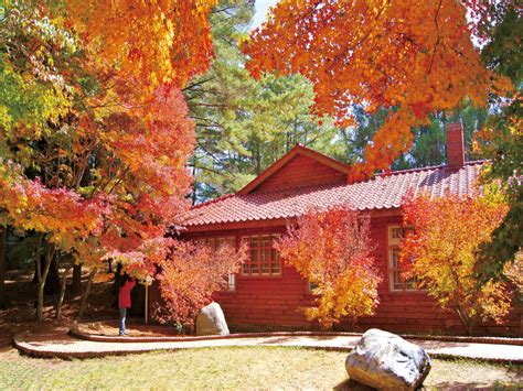 Taichung Taiwan Tourist Attractions Tourist Destination In The World