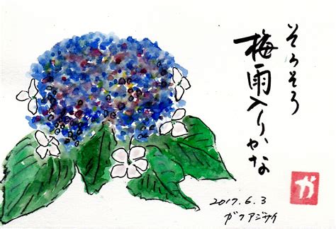 そろそろ梅雨入りかな ガクアジサイ 絵手紙 交流ひろば てがみ倶楽部