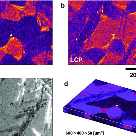 Shg Imaging Of Ferroaxial Domains In Nitio 3 Using Circularly Polarized