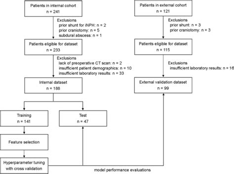 Development Of Machine Learning Models For Predicting Unfavorable Functional Outcomes From