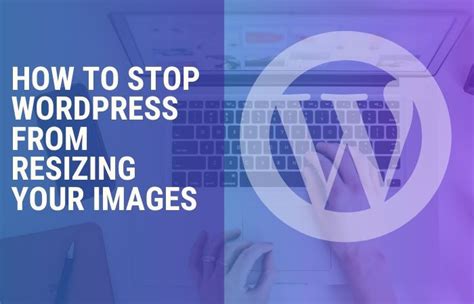 Cách Vô Hiệu Hóa Json Rest Api Trong Wordpress