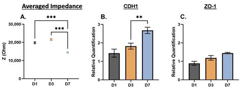 Biosensors Free Full Text Phenotypic Characterization Of 2d And 3d
