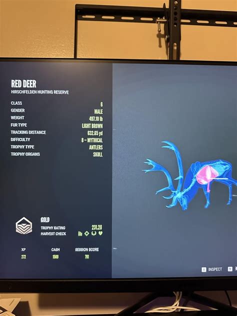 Noobie Question Why Isnt This A Diamond R Thehunter