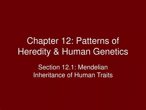 Ppt Chapter Patterns Of Heredity Human Genetics Powerpoint