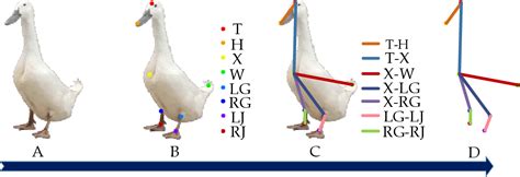 Table 1 From Pose Estimation And Behavior Classification Of Jinling White Duck Based On Improved