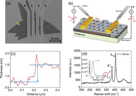 A Sem Image Of The Selected Flake With Ti Au Contacts The Yellow Download Scientific Diagram
