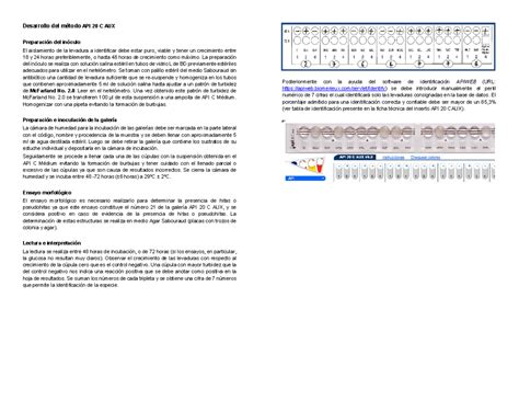 Api Sistema Api Desarrollo Del Método Api 20 C Aux Preparación Del Inóculo El Aislamiento De Api Sistema Api Desarrollo Del Método Api 20 C Aux Preparación Del Inóculo El Aislamiento De
