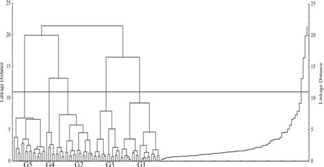 Dendrogram Left And Linkage Distance Graph Right Download