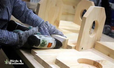 How To Make A Bird Feeder And Attract Birds To Your Garden Birds Wetlands