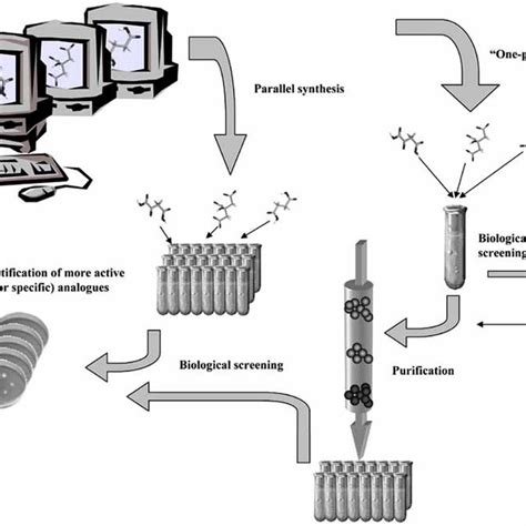 Schematic Workflow Of Directed Evolution By Error Prone PCR To Generate