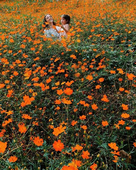 No Flowers Were Trampled In The Taking Of This Photo Should It Need To Be Said Dont Trample