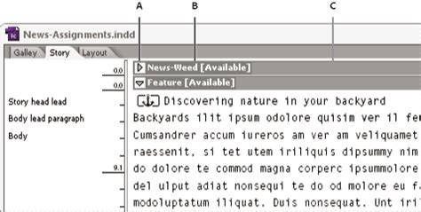 How To Create Use Adobe InCopy CC Workflows