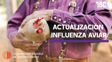 Influenza Aviar De Alta Patogenicidad Hpai Informe De Situación