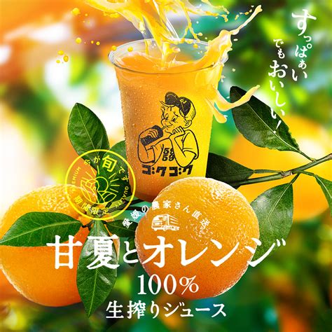 【期間限定商品】甘夏とオレンジ100％生搾りジュース News Drapocket 無添加ジュース＆スムージーで、みんなの毎日を