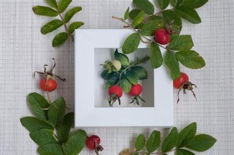 Paper Crafts A Branch Of Rose Hips In A Small White Frame